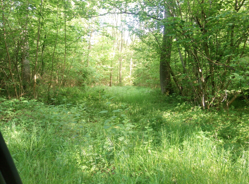 A propos – Sylves et Biotopes